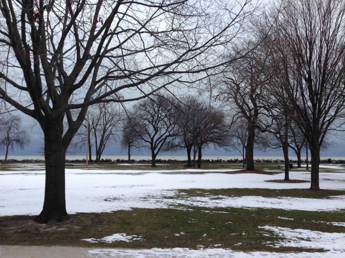 How Can Therapy Help? | Amy Zann, LCSW